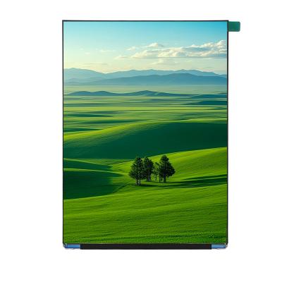 China 11 Inch HD MIPI Interface 1600x2176 IPS PCAP Touch Display 300nits Wide Temperature LCD  Manufatures for sale