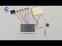 High Brightness 1000nits LVDS TFT LCD Display Screen 4.3 Inch 1920x1080 Resolution